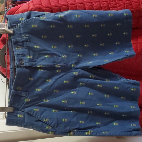 Plugg | Shorts | Mens Pineapple Shorts With Elasticized Waist Band ...